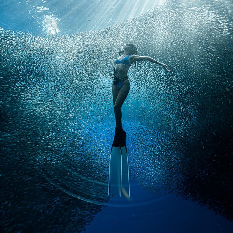 Freediving Tour at Napaling Reef and the Sardines