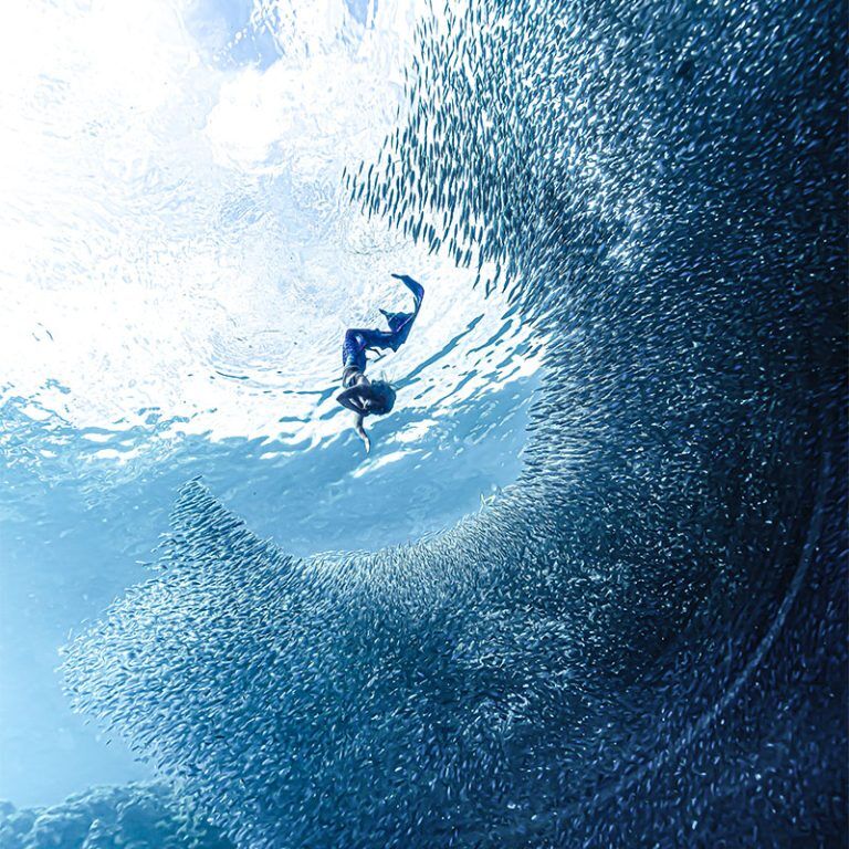 Freediving Tour at Napaling Reef and the Sardines