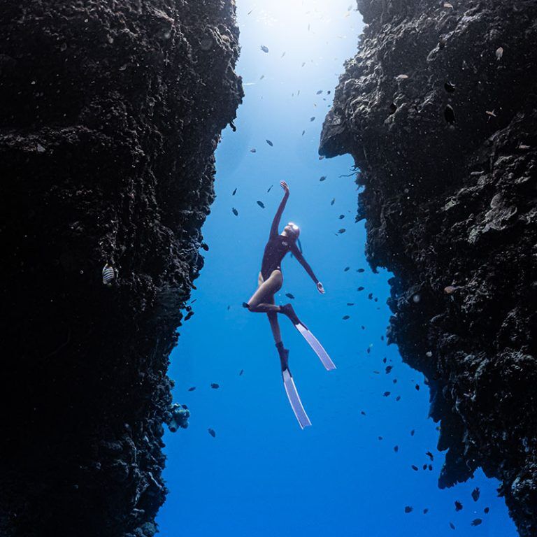Freediving Tour at Napaling Reef and the Sardines