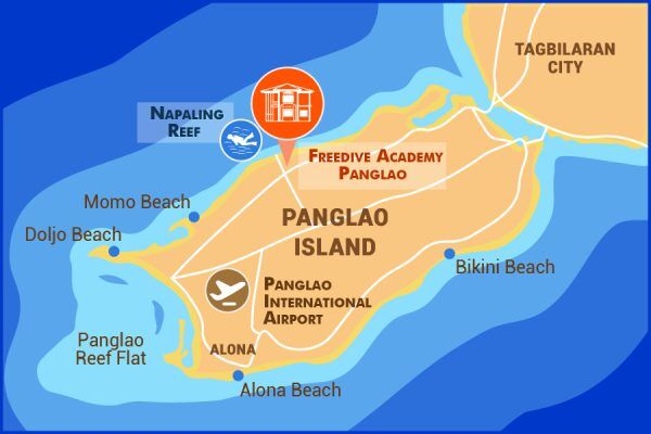 Swimming & Whale Shark Watching in Lila Bohol