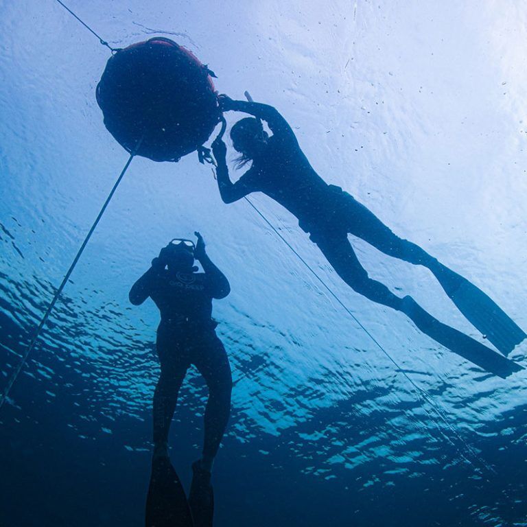 Freediving Tour at Napaling Reef and the Sardines