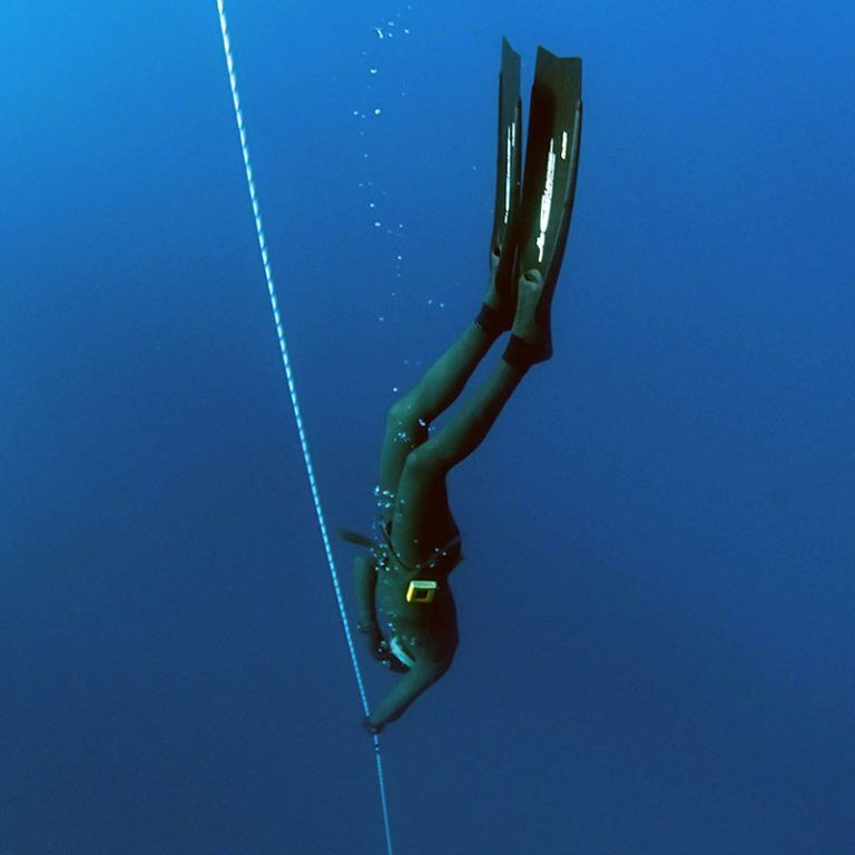 Freediving Tour at Napaling Reef and the Sardines